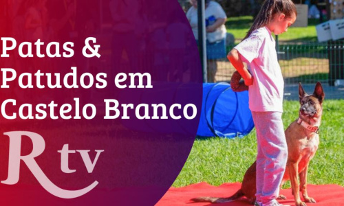 Um fim-de-semana de Patas & Patudos em Castelo Branco | Reconquista